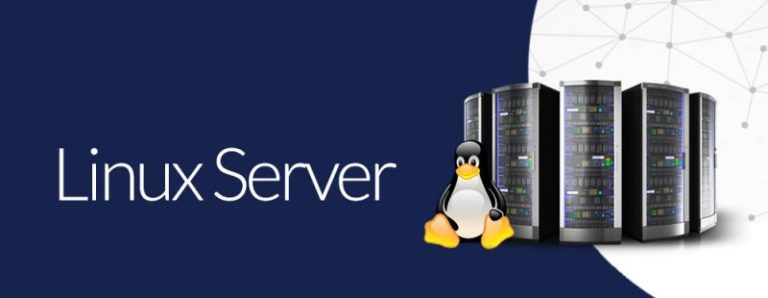 Linux Server - StarDot Server : rental server and VPS